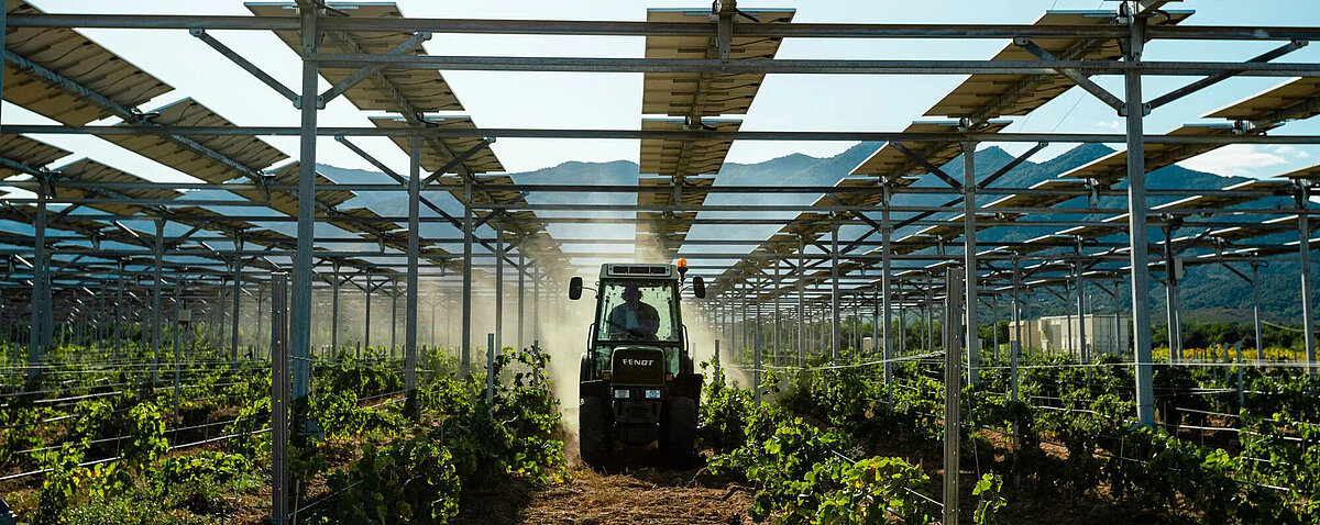 Vinaria - Österreichs Zeitschrift für Weinkultur: Solarpanele über ...