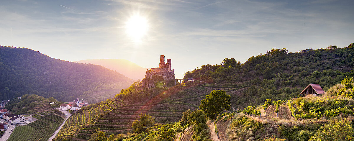 Vinaria - Österreichs Zeitschrift für Weinkultur: Kremstal: die besten ...