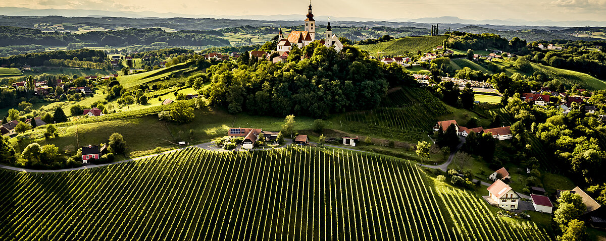Vinaria - Österreichs Zeitschrift für Weinkultur: Die besten Weine ...