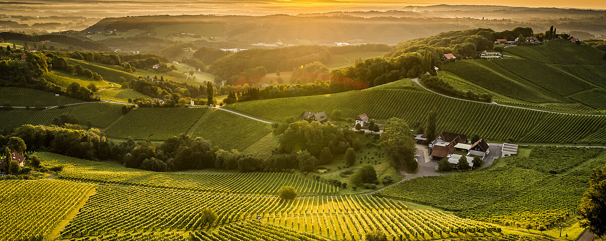 Vinaria - Österreichs Zeitschrift für Weinkultur: Die besten Weine ...