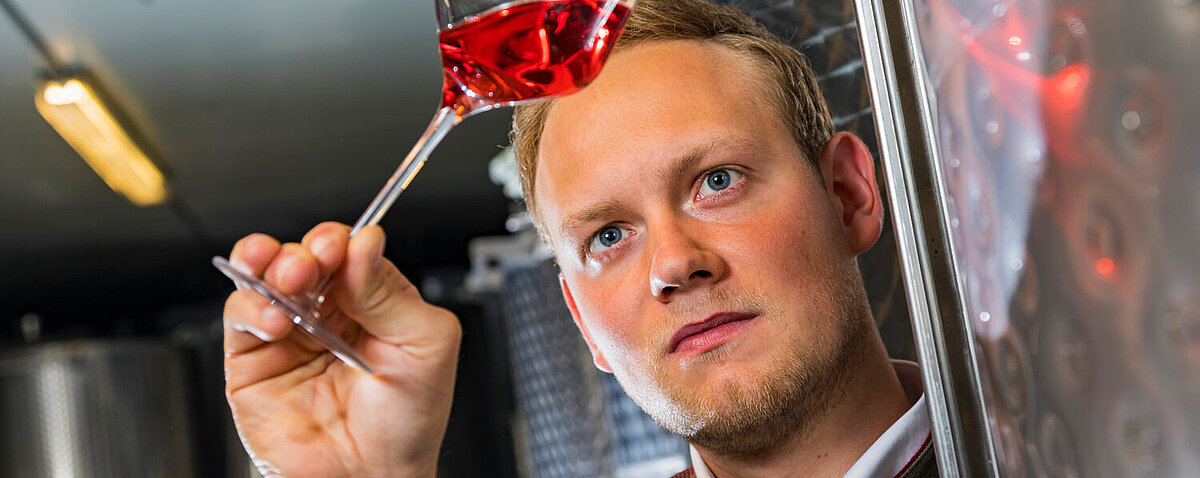 Vinaria - Österreichs Zeitschrift für Weinkultur: Rosé: Christoph ...