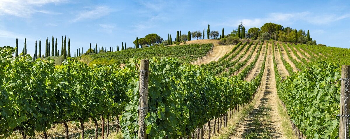 Vinaria - Österreichs Zeitschrift für Weinkultur: Marchesi Frescobaldi ...