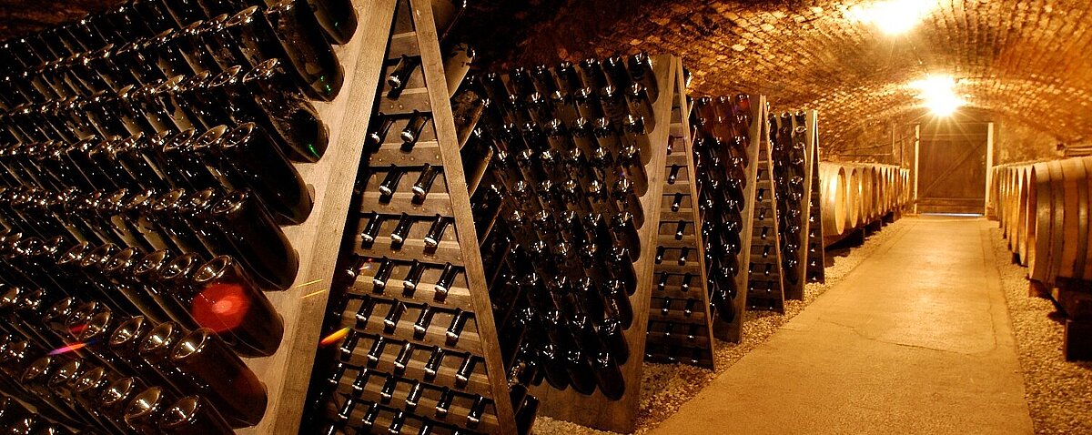 Vinaria - Österreichs Zeitschrift für Weinkultur: Die besten neuen ...