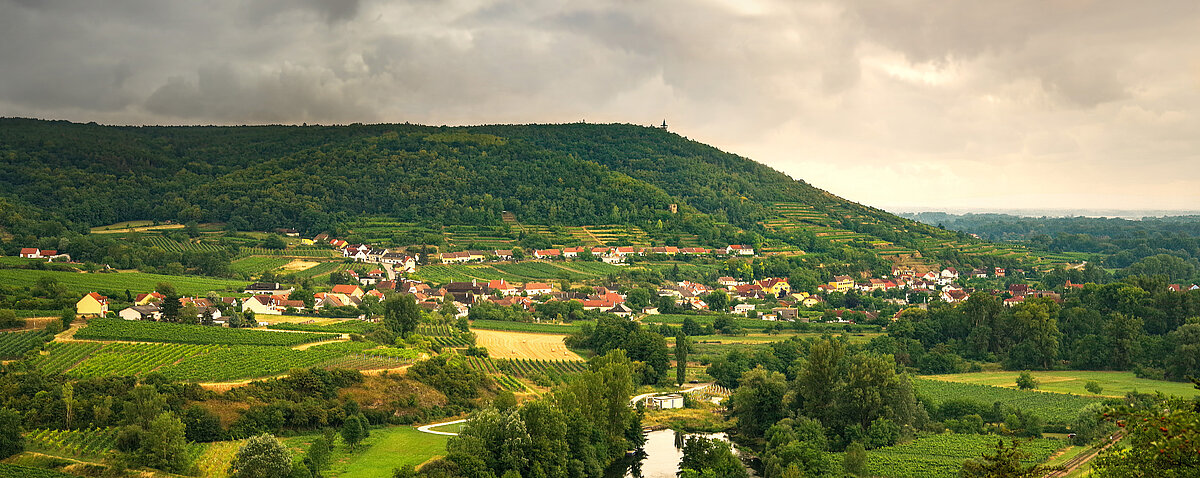 Vinaria - Österreichs Zeitschrift für Weinkultur: Die besten Winzer und ...