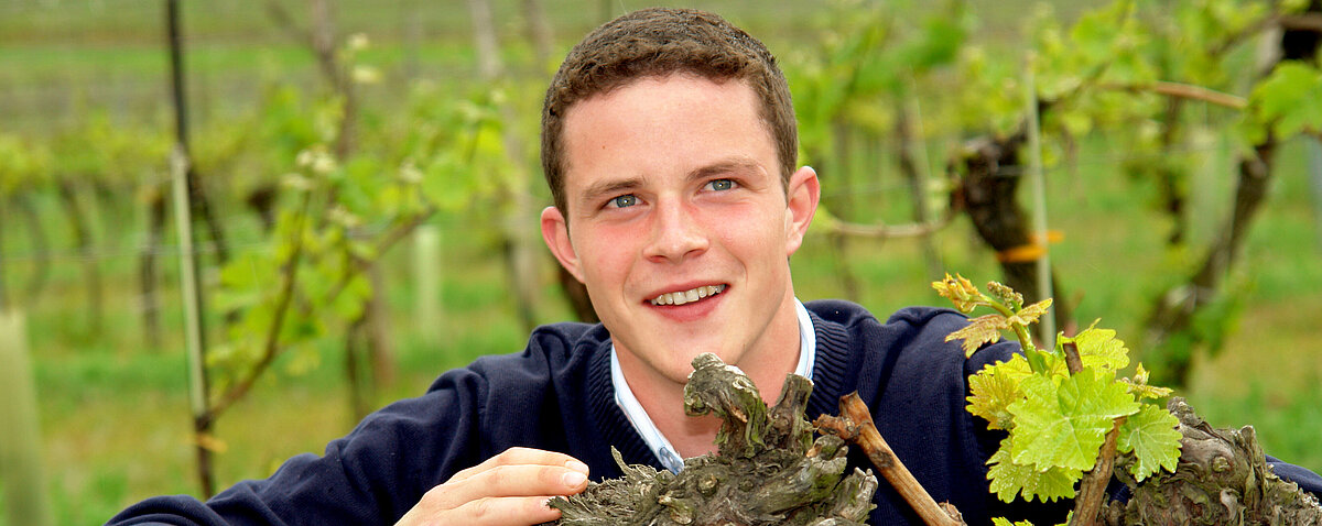 Vinaria - Österreichs Zeitschrift für Weinkultur: Die besten Winzer und ...