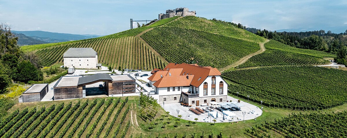 Vinaria - Österreichs Zeitschrift für Weinkultur: Burg & Weingut ...